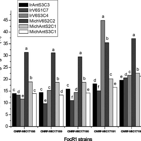 Growth Inhibition Of Five Strains Of Fusarium Oxysporum F Sp Cubense Download Scientific