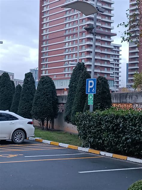 Engelli Park Object Detection Dataset By Eva Otonom Goruntu Isleme