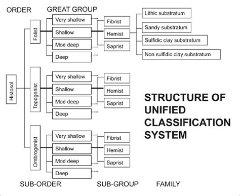 The Structure Of The Unified Classification System Paramananthan 2011
