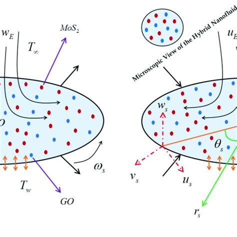 The Physical Geometry Of The Problem A Rotating Stretching Disk B Download Scientific