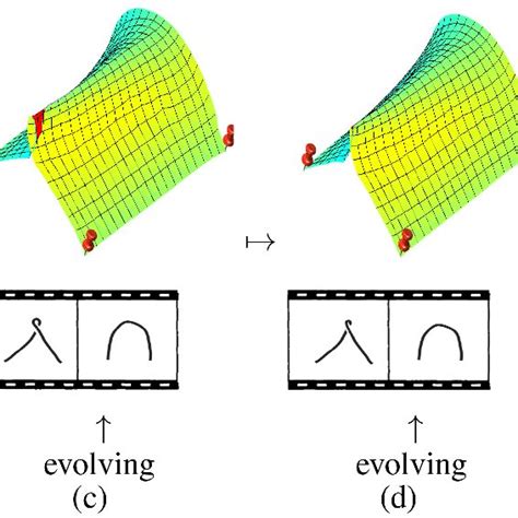 Ae Applying Our Force Directed Algorithms To The Piece Of 4d Surface Download Scientific