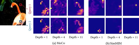 Figure 1 From What Do Self Supervised Vision Transformers Learn