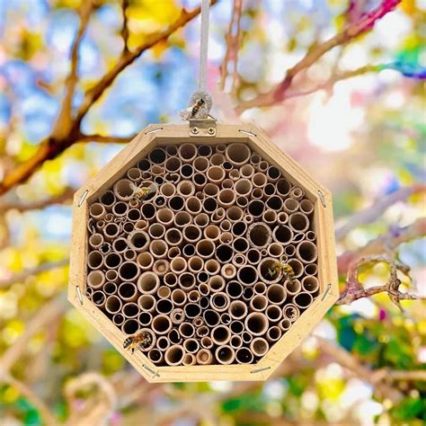 Bee House Native Bee Hive Hexagon Bee House Natural Handmade Wooden Bee