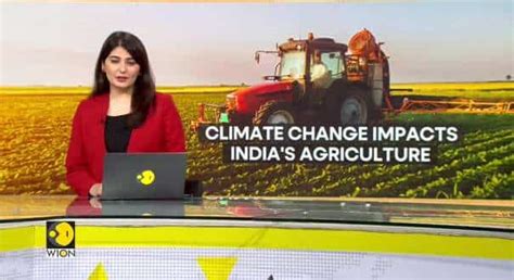 irregular growth news latest irregular growth news breaking