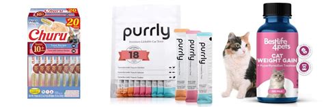 Top 5 Snacks For Senior Cats W Hyperthyroidism