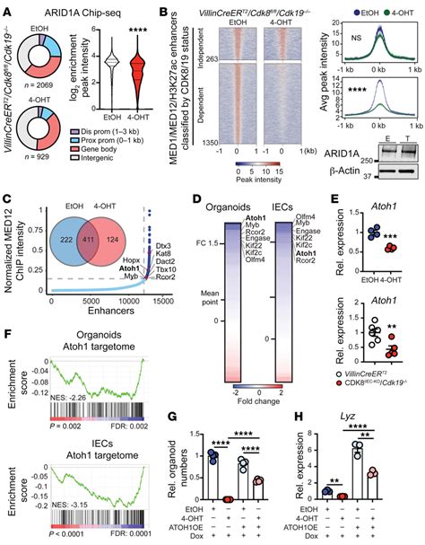 Integrated Genomic Transcriptomic Profiling Identifies Download Scientific Diagram