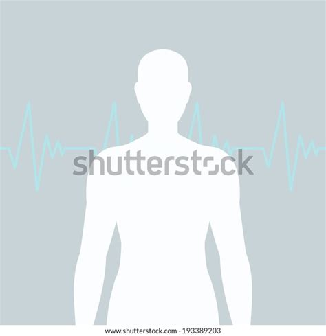 Vector Illustration Cardiac Frequency Stock Vector Royalty Free