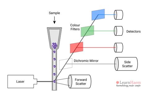Flow Cytometry Diagram