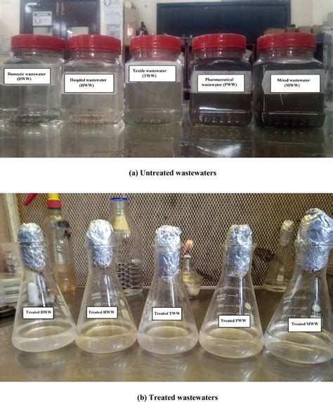 Alcaligenes Faecalis Slant