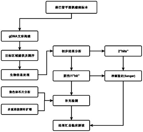 Lymphangiomyoma Joint Detection Method And Application Thereof Eureka