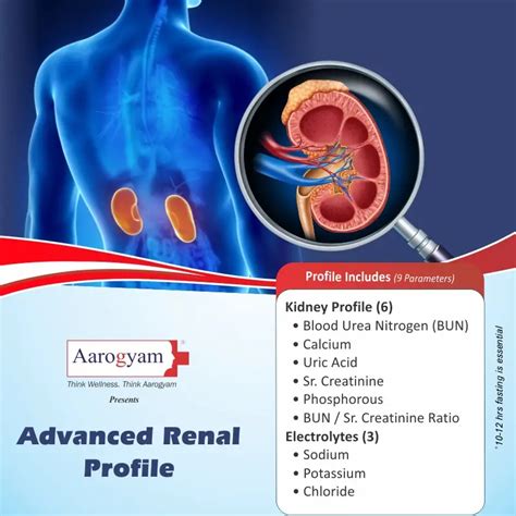 Rft Test Renal Function Test 900 Only Free Home Visit