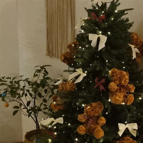 카페꼬숩 상표등록완료🌷 🎄크리스마스 시즌 한정으로 준비되는 꼬숩만의 정성과 디자인이 담긴 크리스마스 크런키 쿠키 나왔습니다 💚 꼬소한 아몬드가 들어간 묵직하고