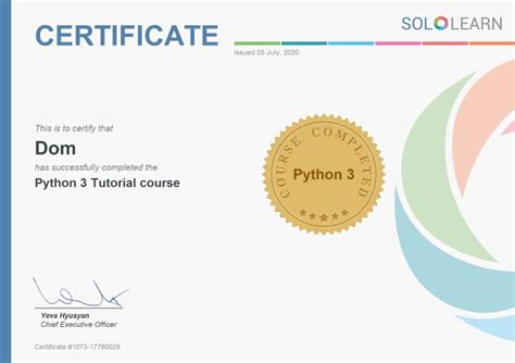 Iman Damoon Imani On Linkedin Python3 Certificate On Sololearn Just
