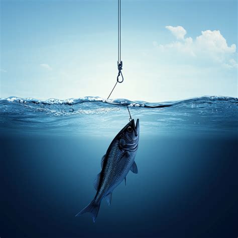 zaher el siddik on linkedin cracking the code phishing tactics