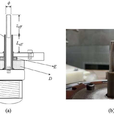A Schematic Representation Of A Cross Section Of The Electrode