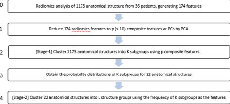 Classification Of Anatomic Structures In Head And Neck By Ct Based