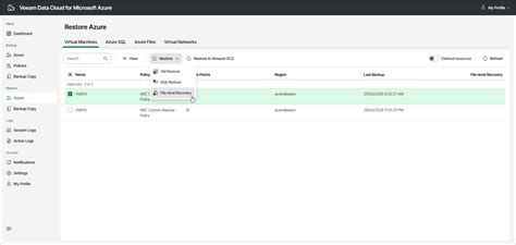 Step 1 Launch File Level Recovery Wizard Veeam Data Cloud For Microsoft Azure