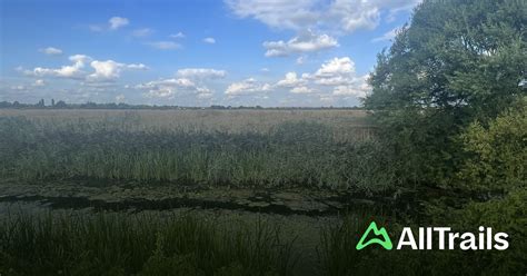 Pevensey Castle Hikes And Trails To Get You There Alltrails