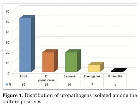 Asymptomatic Bacteriuria And Its Antibiotic Susceptibility Patterns