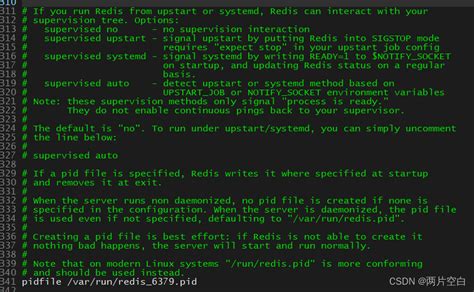 redis配置详解 csdn博客