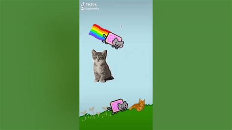 ням кет - YouTube