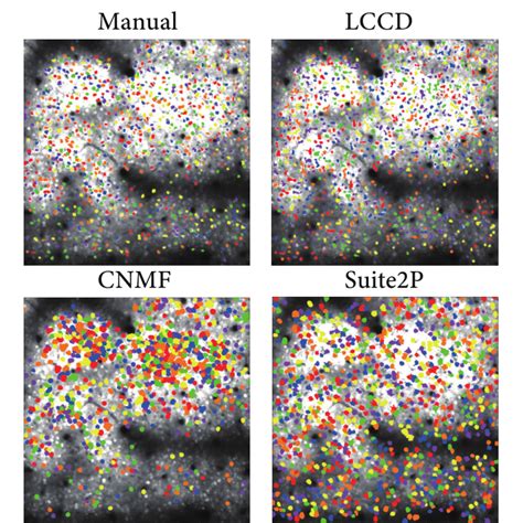 Schematic Diagram Of Lccd Taking Temporal Division And Integration