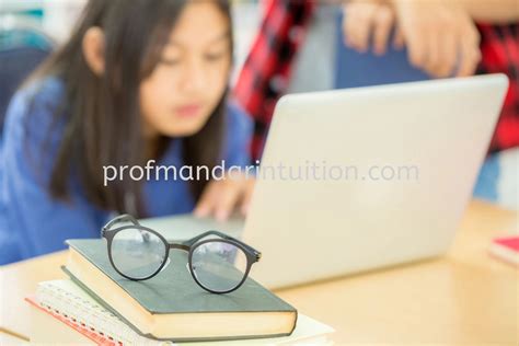 小学华文课程 primary schools chinese language courses 雪兰莪 吉隆坡 马来西亚 教育 服务