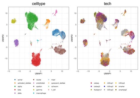 Dataset Pancreas