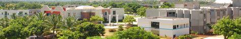Mohan Babu University Fees 2025 Admission Hostel And All Courses Fee
