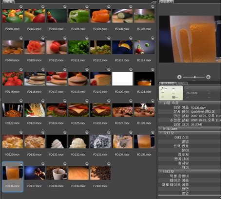 영상소스 에프터이펙트베가스프리미어 편집시에 쓰이는 Artbeats Food 다운로드