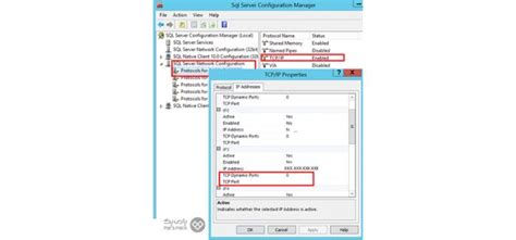 چگونه مشکل احراز هویت در Sql Server را برطرف کنیم؟ پارس پک