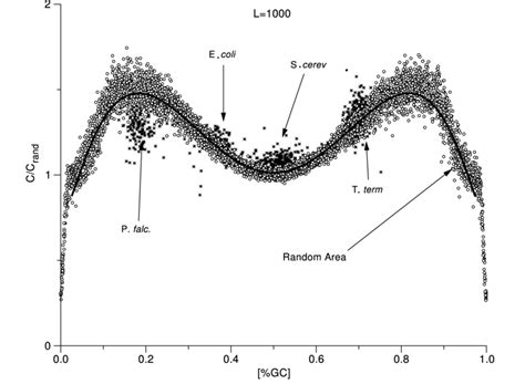 Random Network With Variable Gc Content At The X Axis Is Plotted The Download Scientific