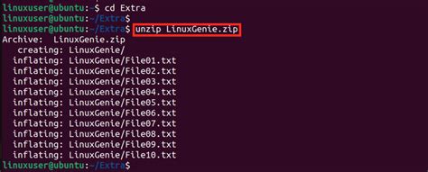 How To Unzip A Zip File In Ubuntu 2204 Linux Genie
