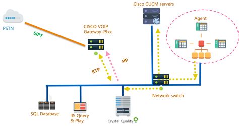 Cisco Avdor CIS