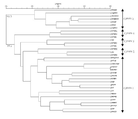 dendrogram resulting from upgma cluster analysis of 35 rice genotypes