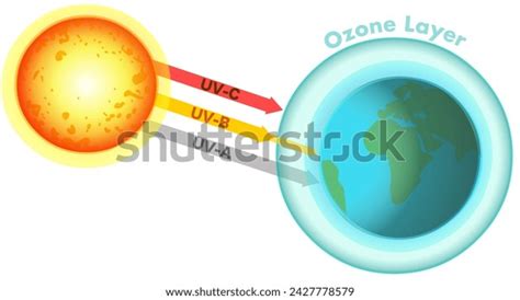 Ozone Layer Depletion Diagram Earths Sunscreen Stock Vector Royalty Free 2427778579 Shutterstock