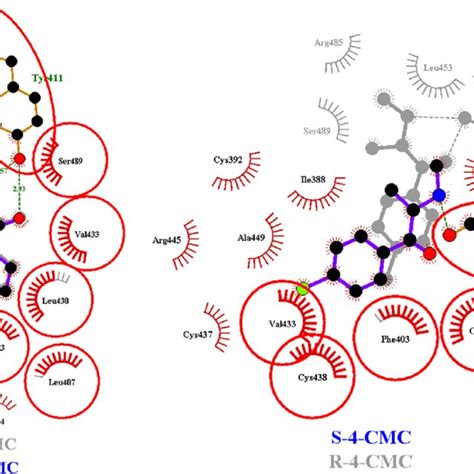 superimposed ligplot diagrams of 3 cmc enantiomers and 4 cmc