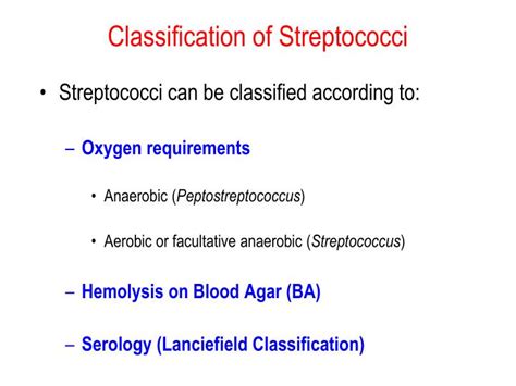 Ppt Practical Medical Microbiology Pht313 Powerpoint Presentation Ppt Practical Medical Microbiology Pht313 Powerpoint Presentation