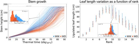 Automatic Extraction Of Architecture And Development Traits At Organ