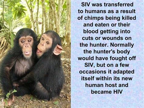 Sex And Sexuality Powerpoint PPT