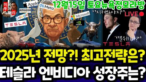 미국주식산타랠리 2025전망 최고전략은 편집본테슬라 엔비디아 구글 애플 아마존 메타 마이크로소프트 팔란티어 아이온큐
