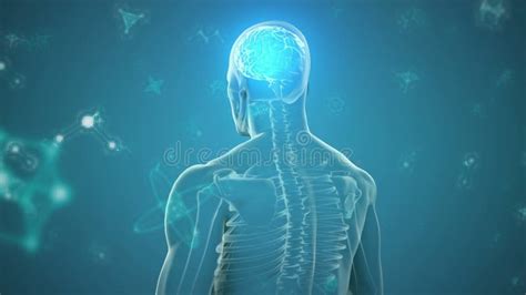Animation Of Human Body With Glowing Brain And Particles On Blue Background Stock Footage