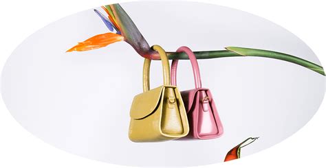 Elementor Vertical Circled Slider Widget Qi Addons For Elementor