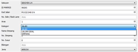 Pyqgis Build Radio Button In Qgis Edit Widget Properties Geographic Information Systems