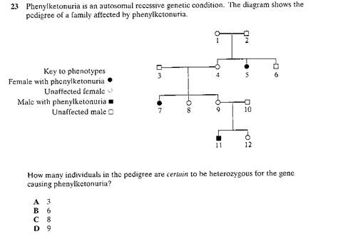 3 Genetics Multiple Choice Questions To Make You Think Good For Ocr