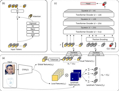 Illustration Of The Proposed Squeeze Vit A An Input Image Is Fed To