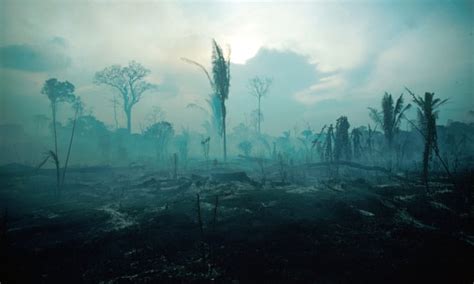 Photo Of The Day Page 133 Lpsg