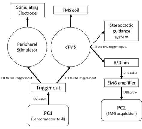 Combined Peripheral Nerve Stimulation And Controllable Pulse Parameter Transcranial Magnetic