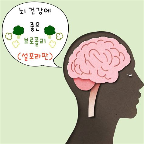 Vegus 🧠뇌건강🧠에 좋은 브로콜리🥦 ️ 뇌 건강은 무엇보다 중요한 부분으로 뇌 손상에 위해 기억력이 감퇴하거나 치매에 이를 수 있는데 이러한 증상은 노인 뿐만
