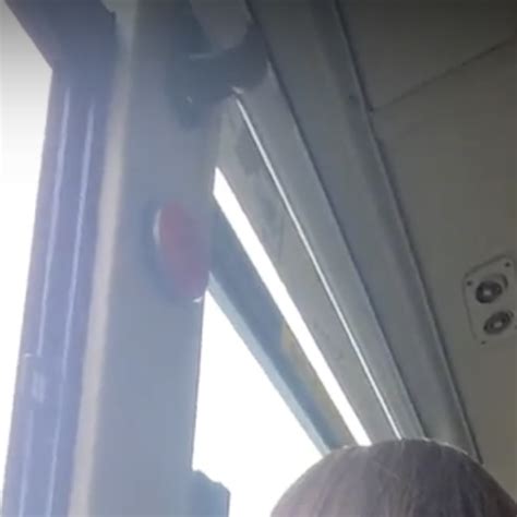 Bus Detection Object Detection Dataset And Pre Trained Model By Bus